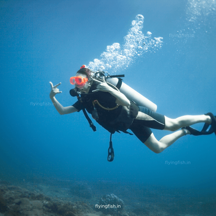 Why Go Scuba Diving? – FLYING FISH DIVING INDIA PRIVATE LIMITED