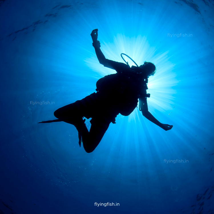 7 Fun and Fascinating Facts about Scuba Diving | Must Read