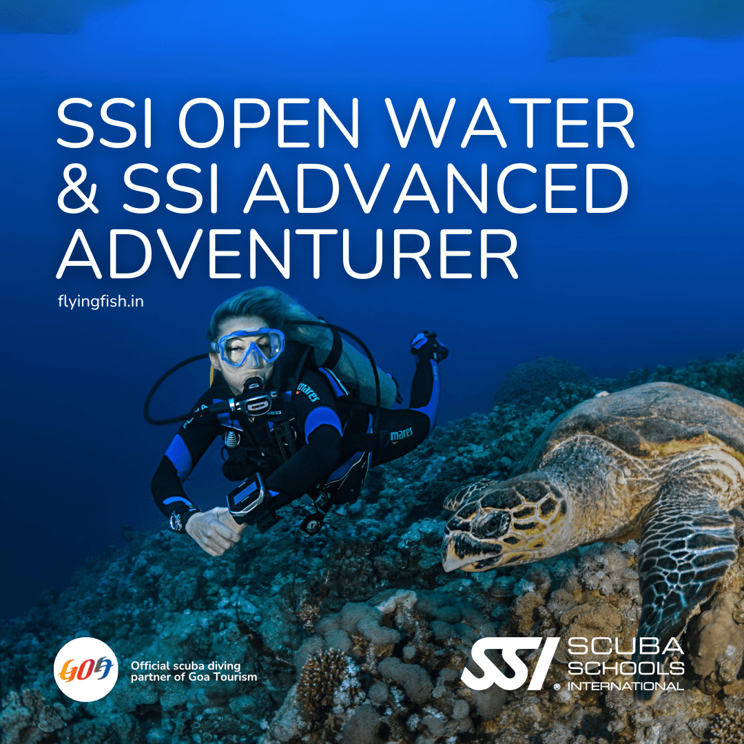 SSI Open Water & SSI Advanced Adventurer – FLYING FISH DIVING INDIA ...